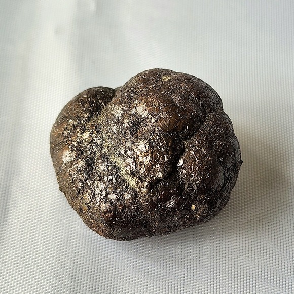 Fossil | Reptile | Dragon Egg Early Diagenetic Cretaceous Pyrite Nodule ...